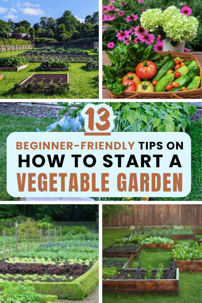 13 Easy Steps to Plant Your First Vegetable Garden