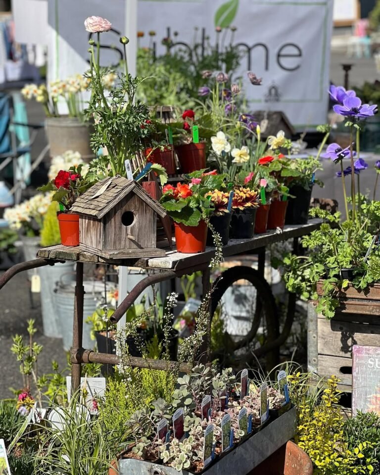 20 Nostalgic Vintage Garden Ideas to Transform Your Outdoor Space