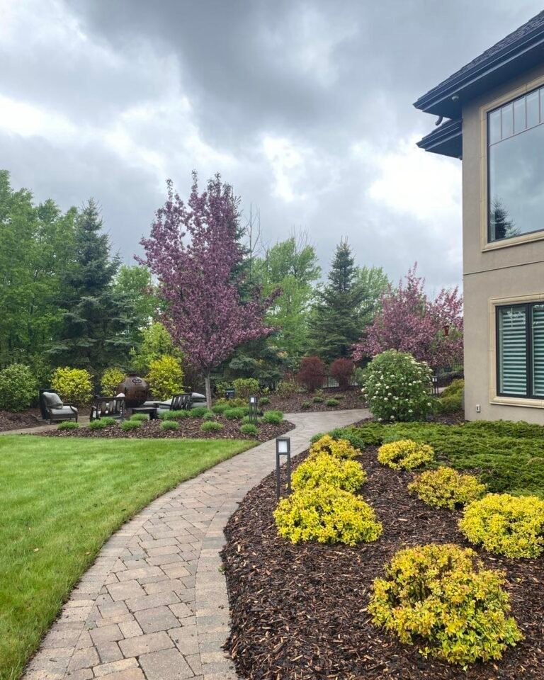 15 Brilliant & Cheap No Grass Backyard Ideas You'll Love!