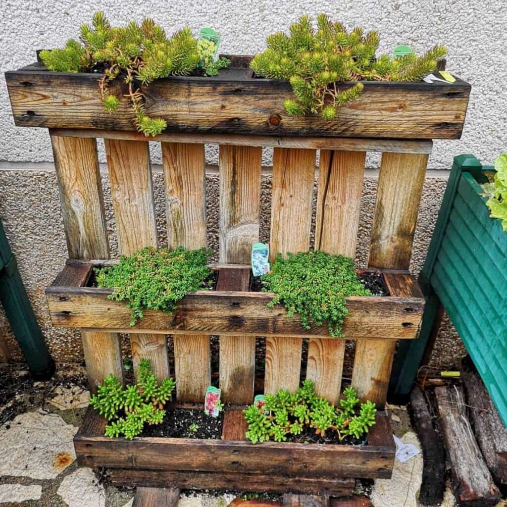 20 Nostalgic Vintage Garden Ideas to Transform Your Outdoor Space