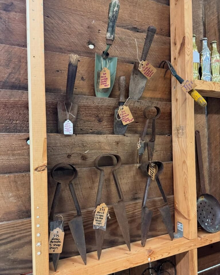 20 Nostalgic Vintage Garden Ideas to Transform Your Outdoor Space