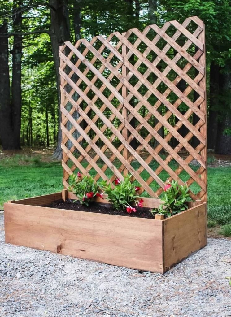 19 Garden Trellis Ideas That Provide Privacy and Style in One Go ...