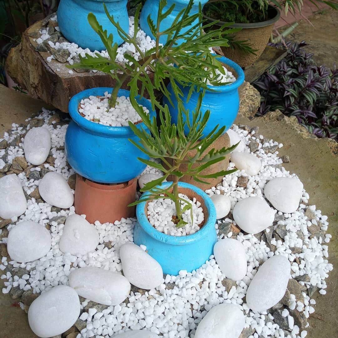 23 Creative DIY Garden Decor Ideas to Transform Your Outdoor