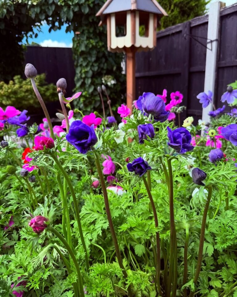 17 Raised Flower Bed Ideas to Elevate Your Garden - Plantparadiso