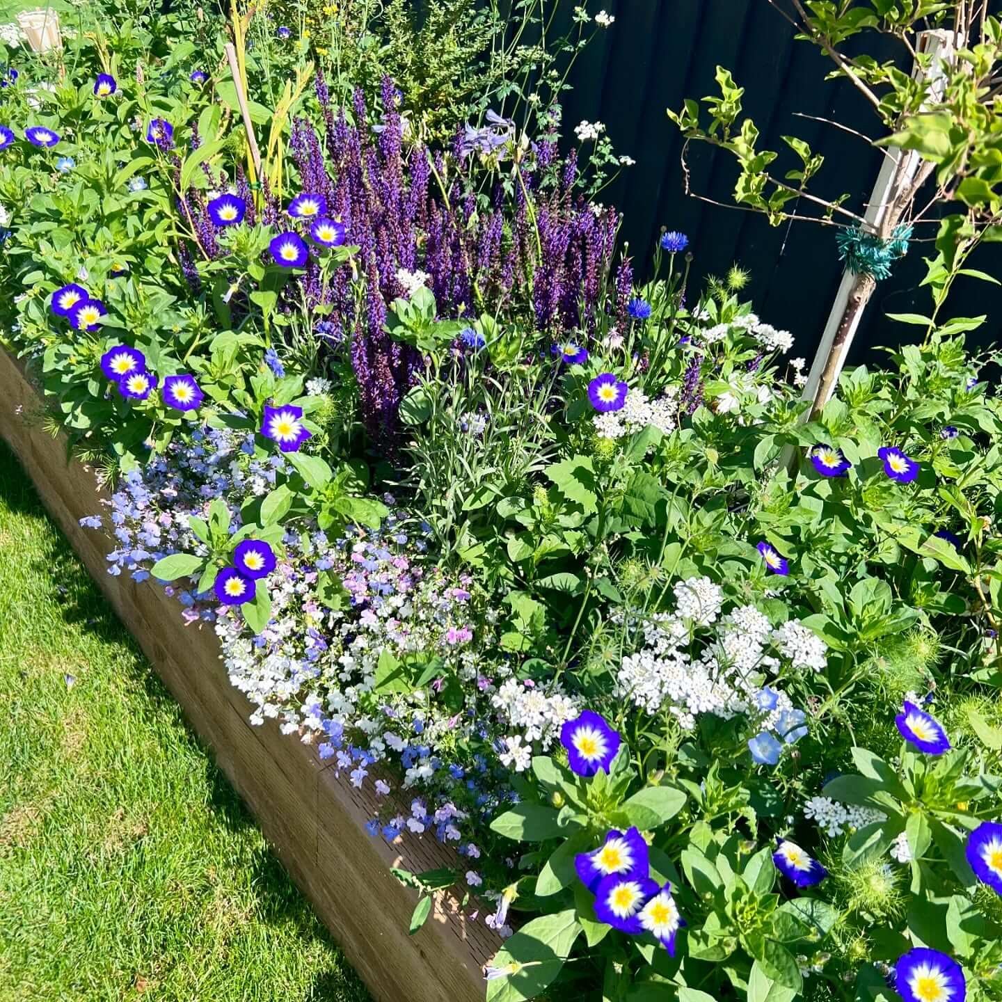 17 Raised Flower Bed Ideas to Elevate Your Garden - Plantparadiso