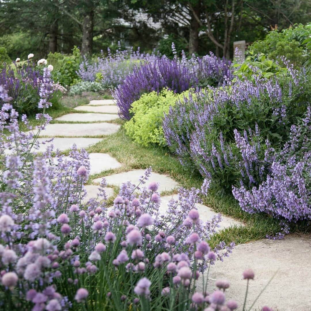 17 Inspiring Side Yard Walkway Ideas to Elevate Your Outdoor Space ...