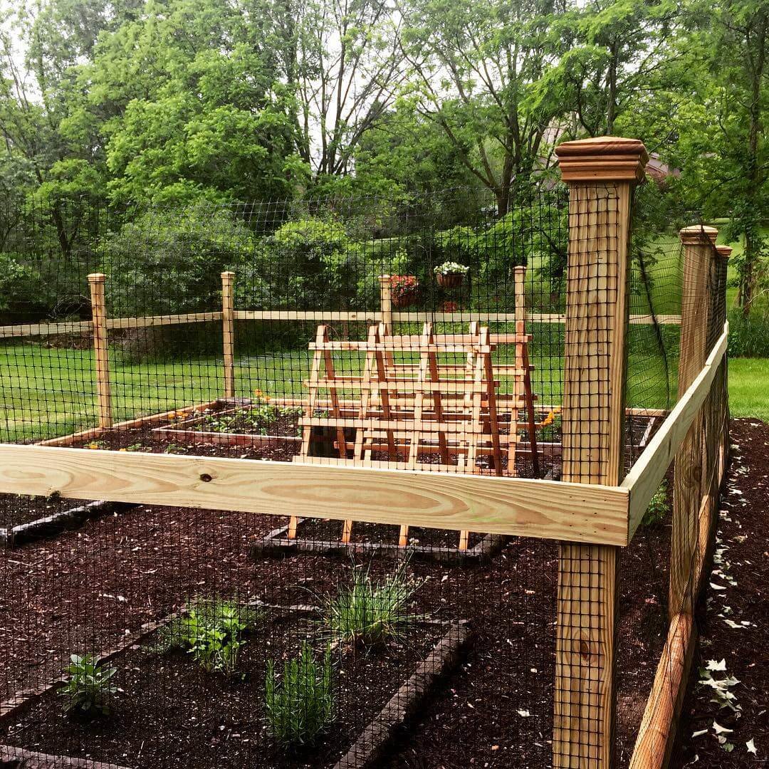 22 Stunning Garden Fence Ideas to Elevate Your Outdoor Space ...