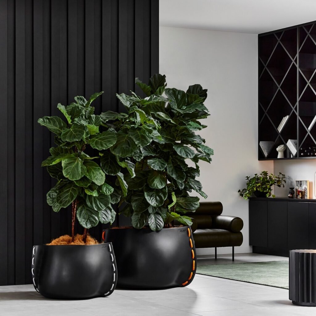15 Indoor Plants Decor Ideas That Will Refresh Any Room (Get Ready for ...