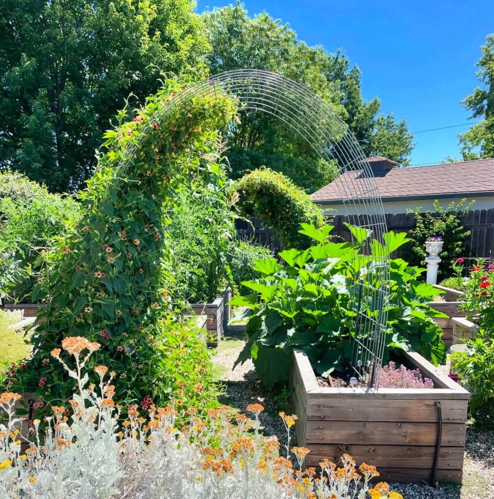 Stunning DIY Garden Arch Trellis Ideas to Elevate Your Outdoor Space ...