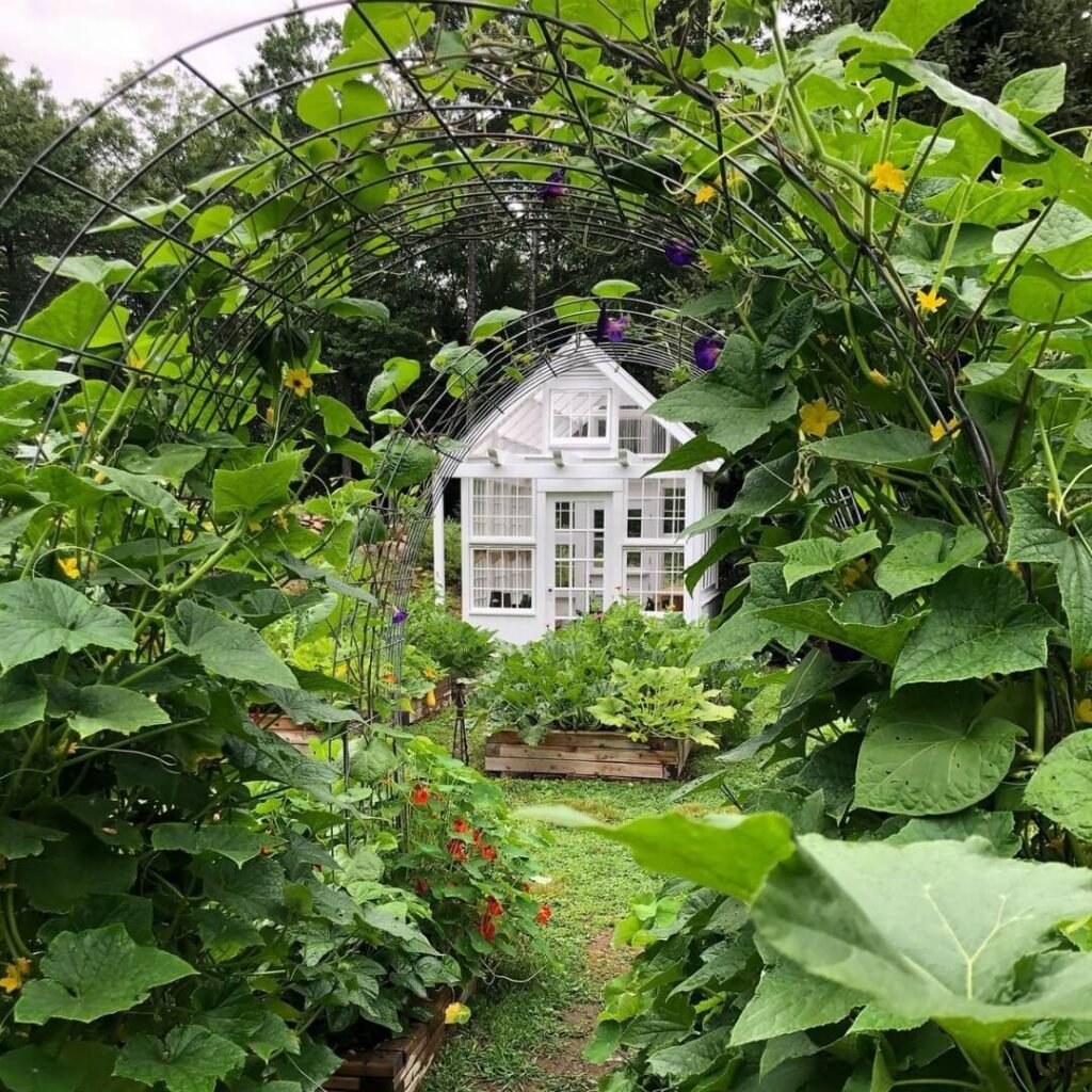 Stunning DIY Garden Arch Trellis Ideas to Elevate Your Outdoor Space ...