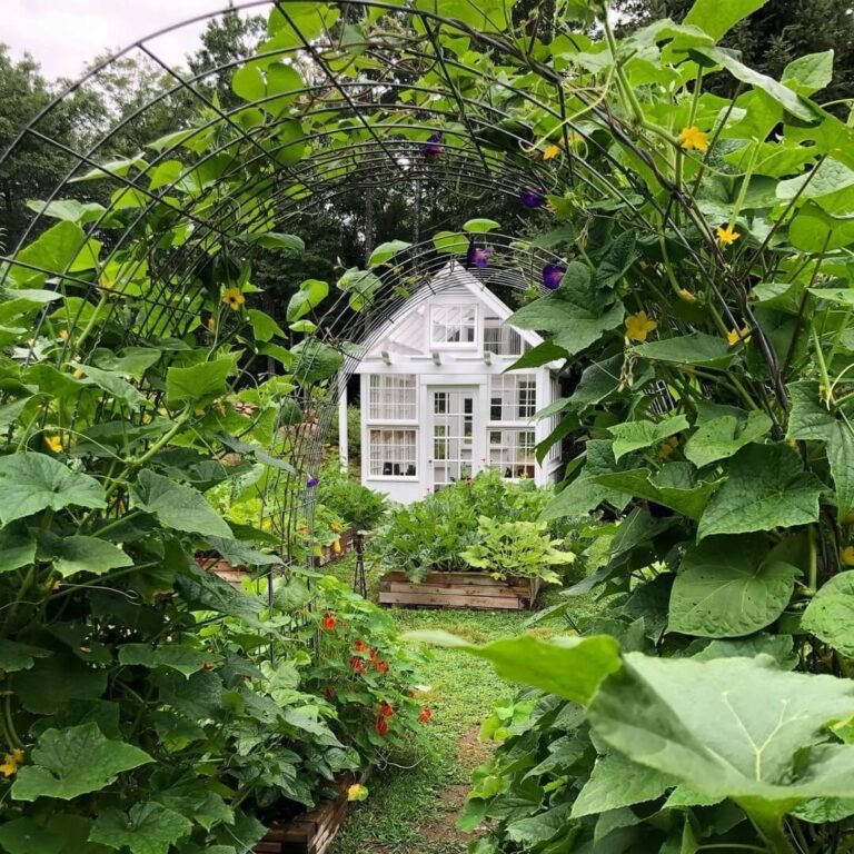 Stunning DIY Garden Arch Trellis Ideas to Elevate Your Outdoor Space ...