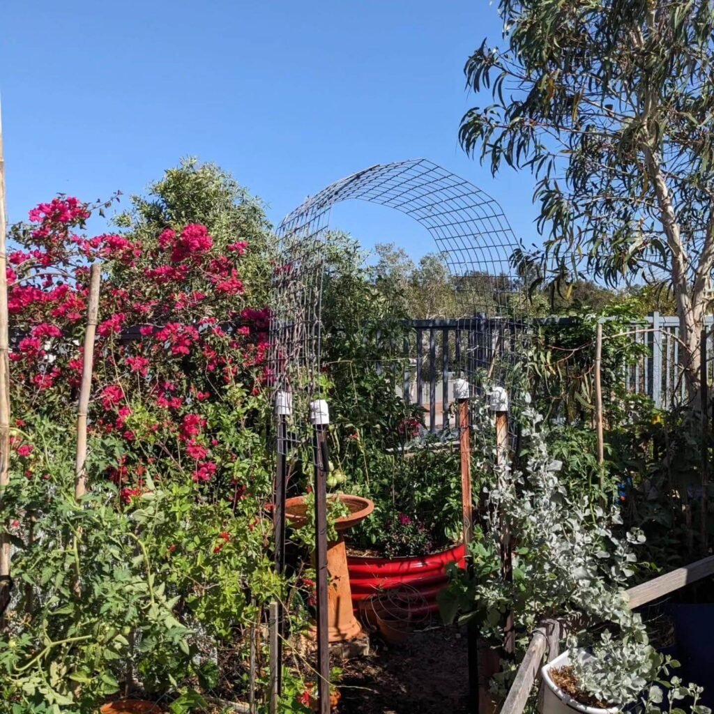Stunning DIY Garden Arch Trellis Ideas to Elevate Your Outdoor Space ...