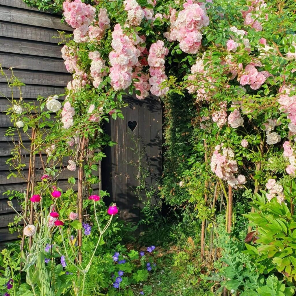 Stunning DIY Garden Arch Trellis Ideas to Elevate Your Outdoor Space ...