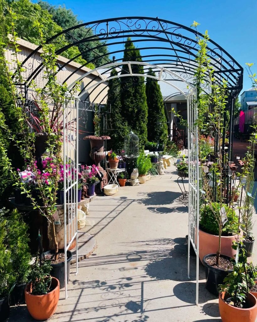 Stunning DIY Garden Arch Trellis Ideas to Elevate Your Outdoor Space ...