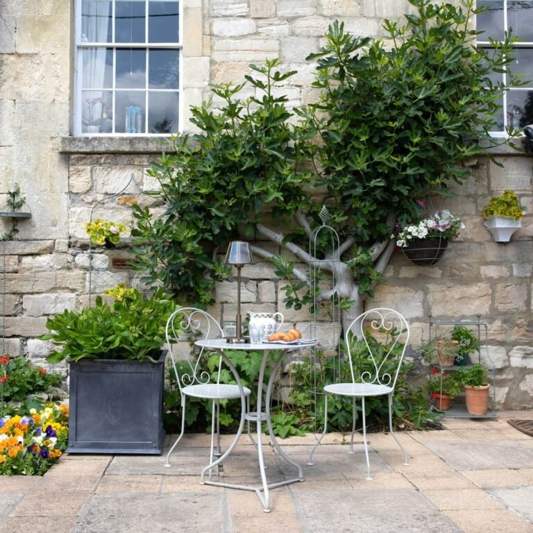 Courtyard Garden Designs That Transform Small Spaces into Serene ...