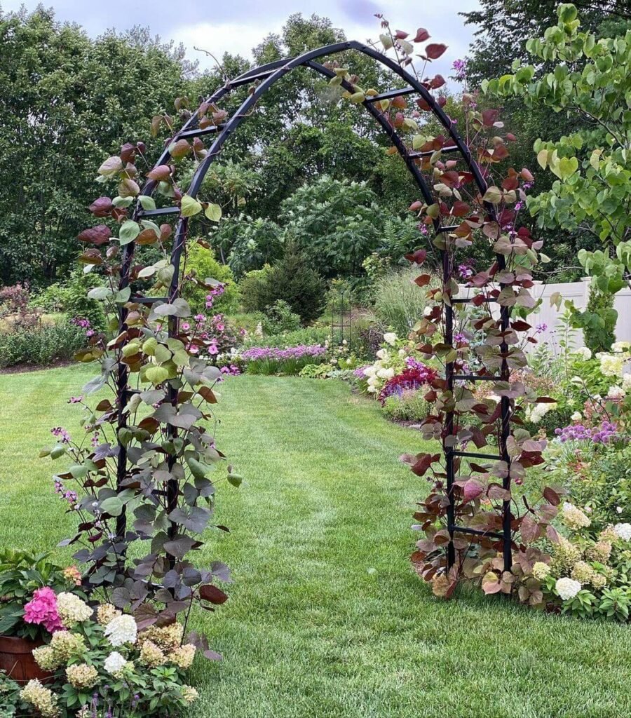 Stunning DIY Garden Arch Trellis Ideas to Elevate Your Outdoor Space ...